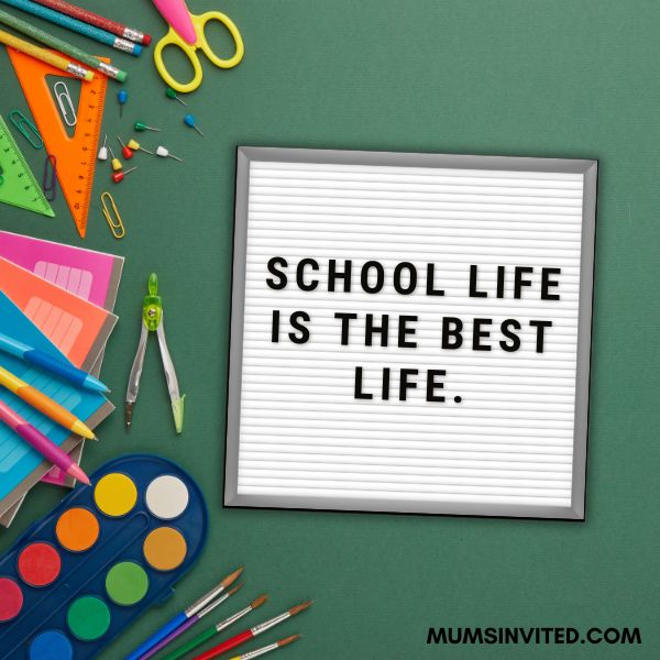 128 Funny & Cute Back To School Letter Board Quotes For Your First Day ...